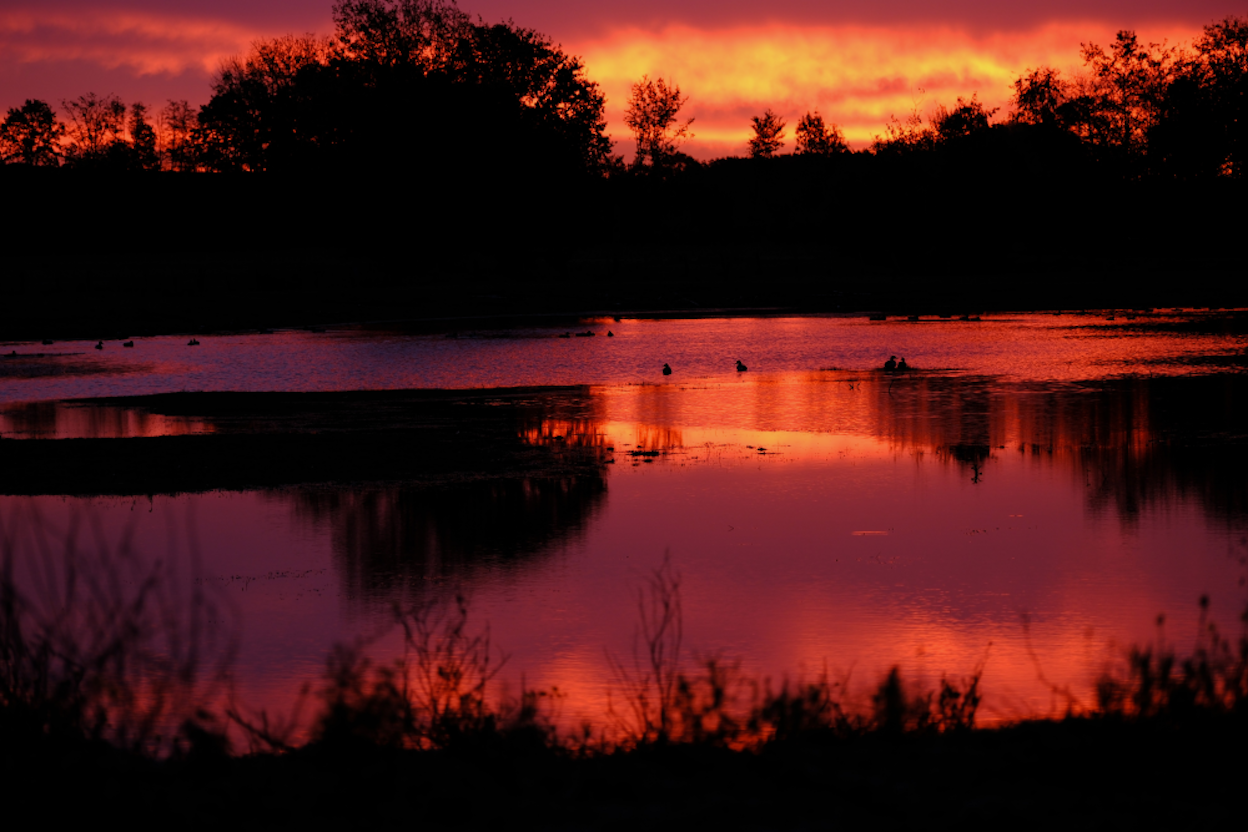 14-daagse weersverwachting Amsterdam-Zuidoost | Weeronline