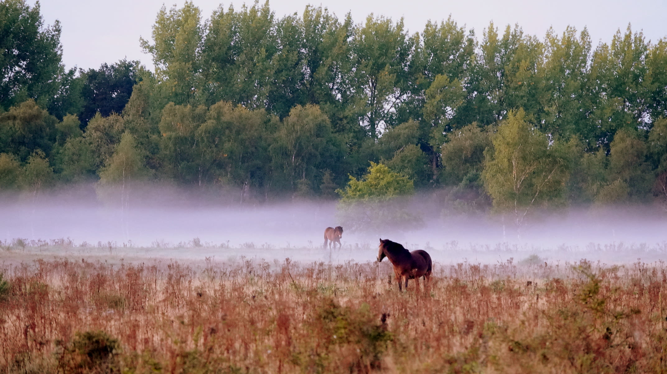 Hoe warm wordt het weekend en krijgen we zon of buien?