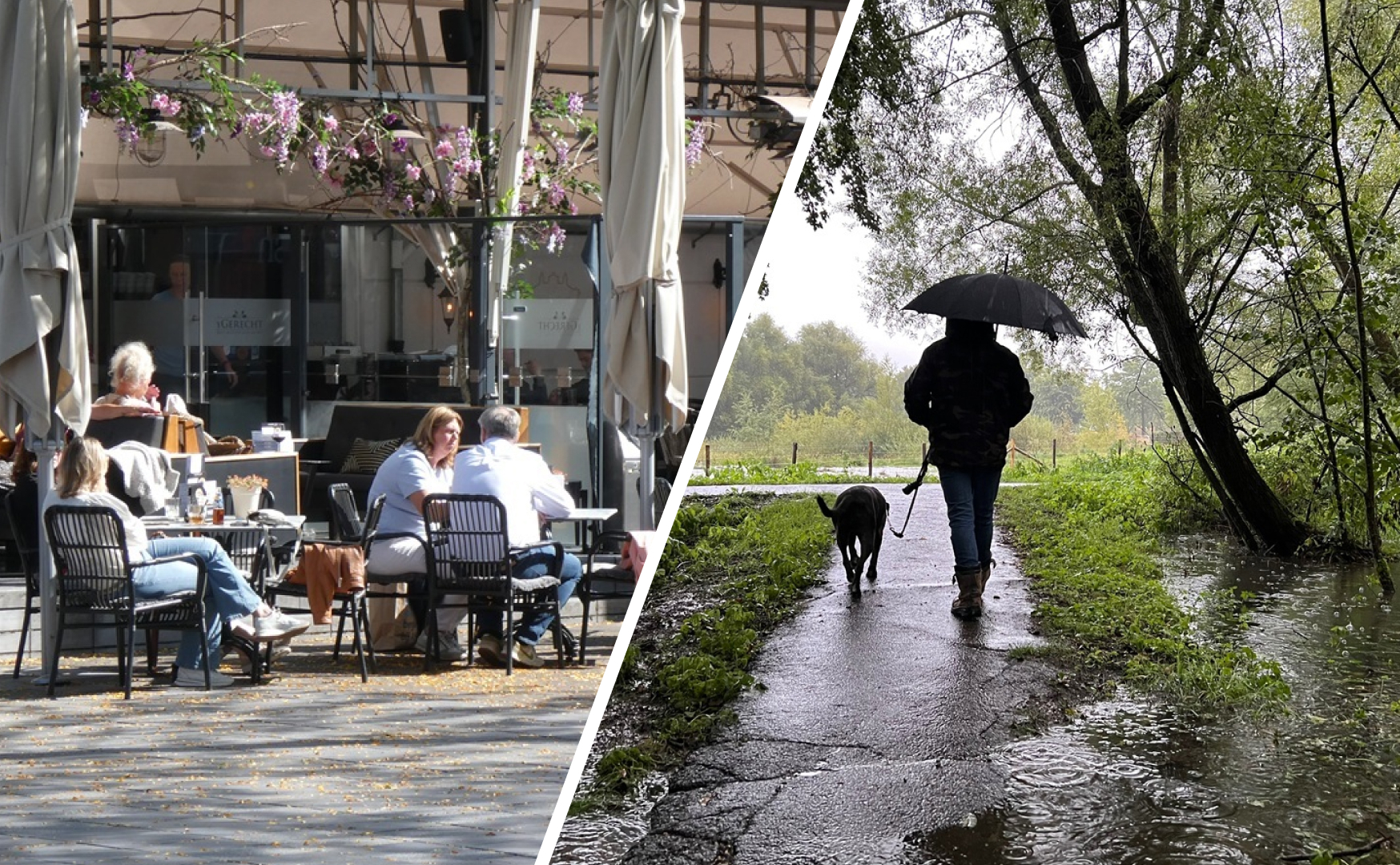 48-uurs weersverwachting Rotterdam | Weeronline