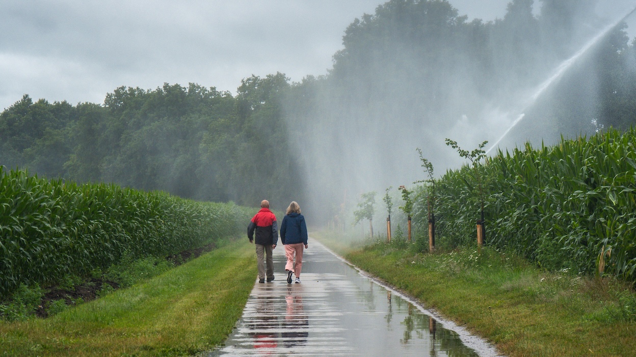 14-daagse weersverwachting Amsterdam | Meteovista