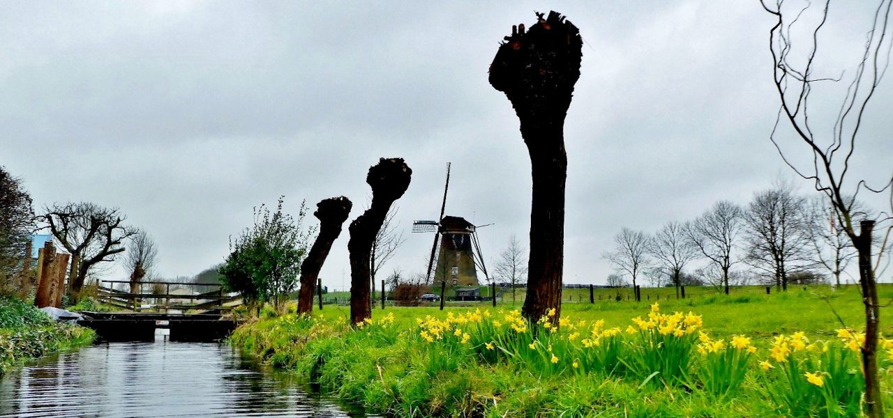 48-uurs weersverwachting Almelo | Weeronline