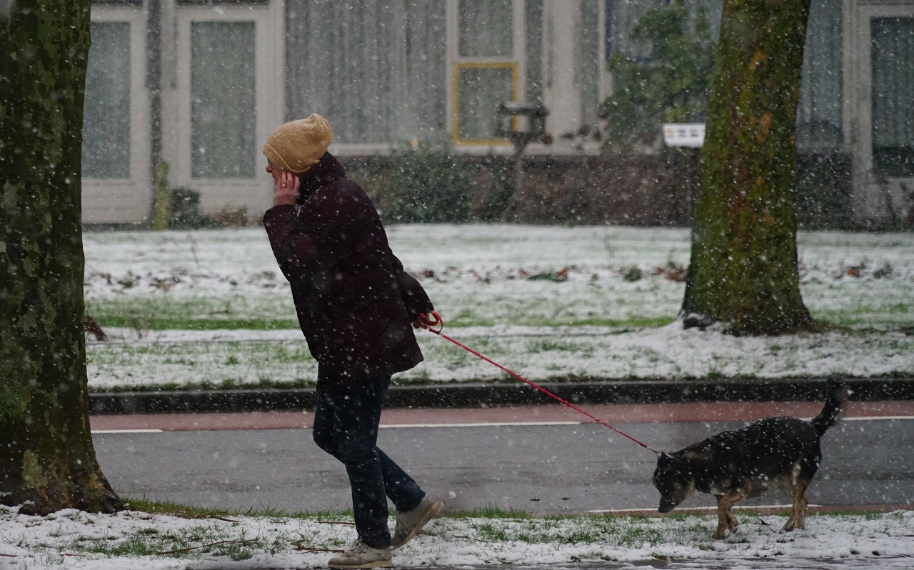 14-daagse weersverwachting Amsterdam | Meteovista
