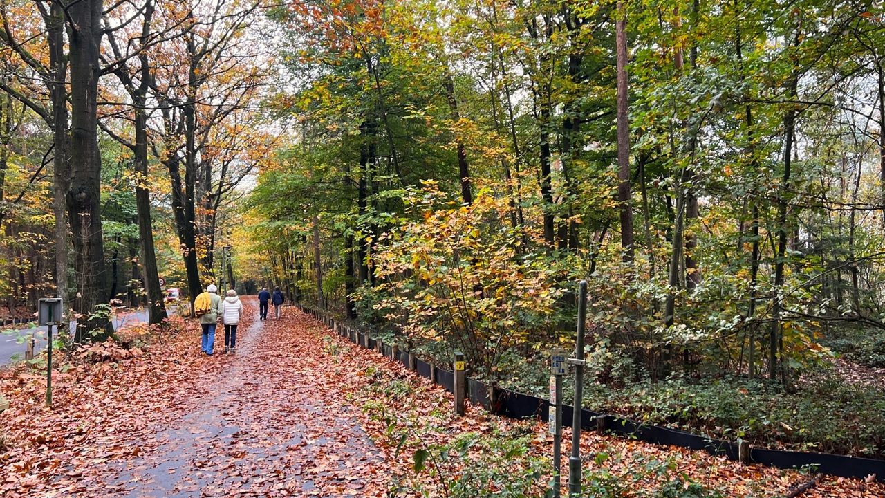 14-daagse weersverwachting Almelo | Meteovista