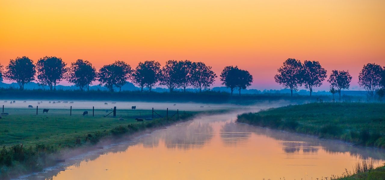 48-uurs weersverwachting Amsterdam | Weeronline